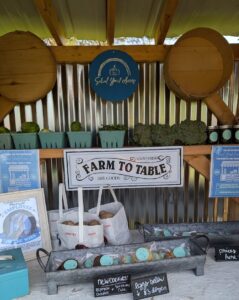 Favorite Packaging Supplies for our Farm Stand